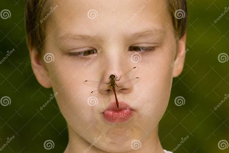 Insect on face stock photo. Image of child, wings, happy - 10409720