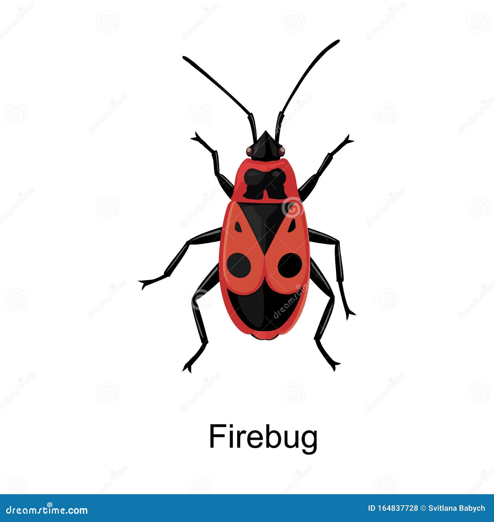 Firefly Insect Clip Art