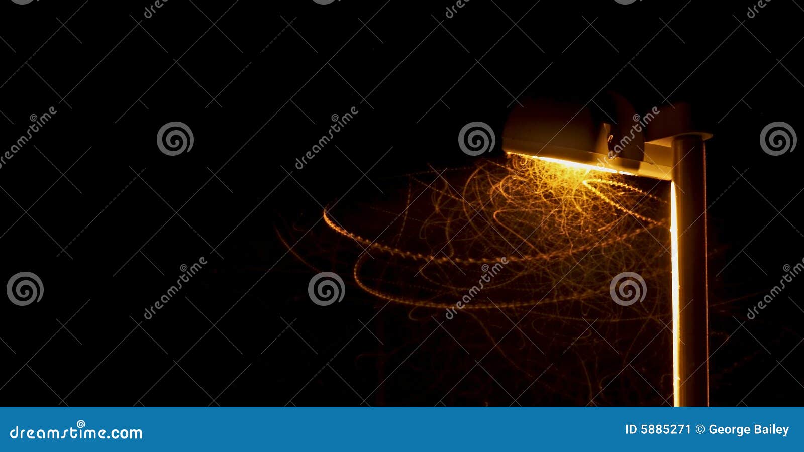 Insect flight trails stock image. Image of nighttime, nature - 5885271