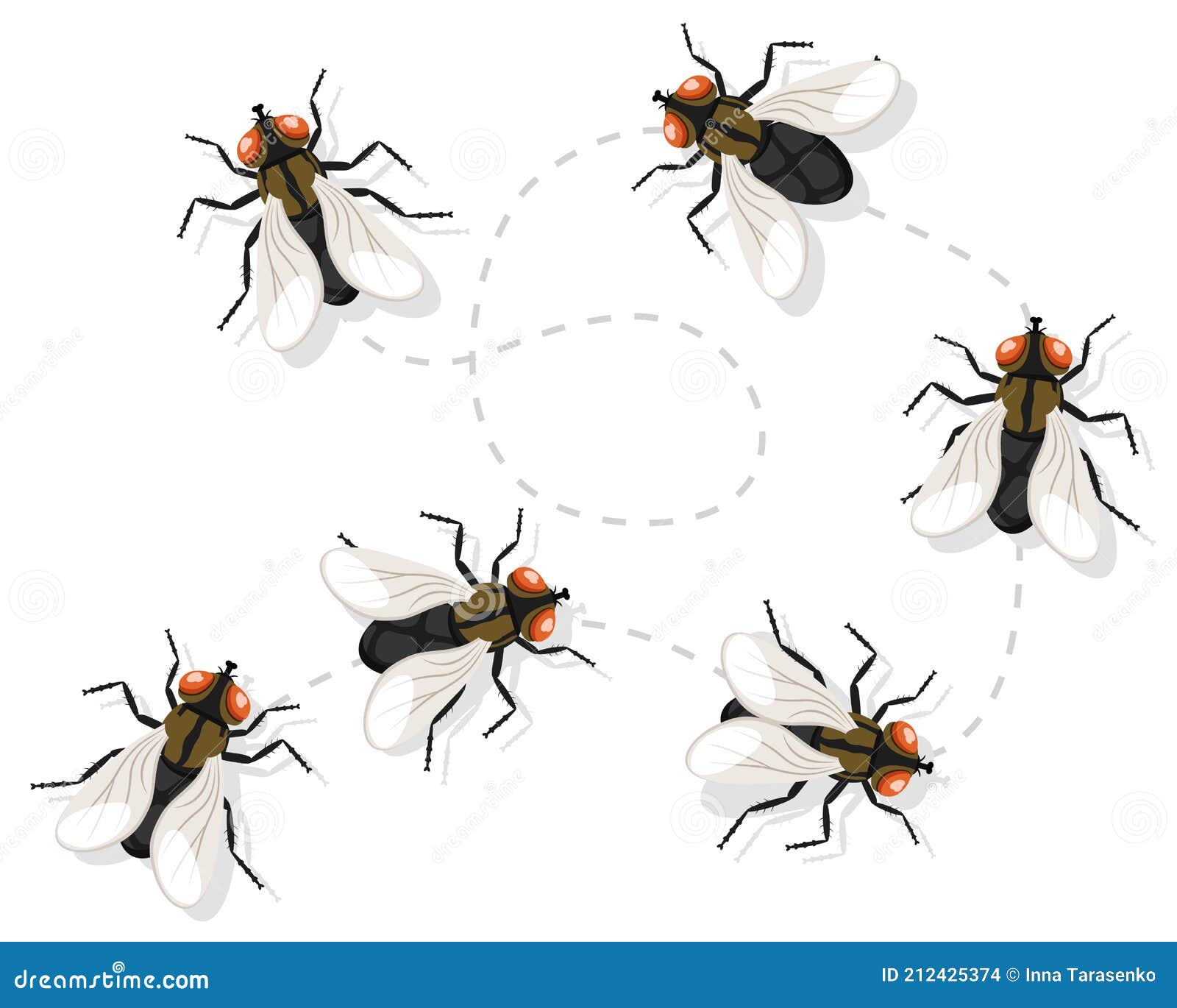 Insect Fly Moves Along a Route on a White Background. Top View Stock ...