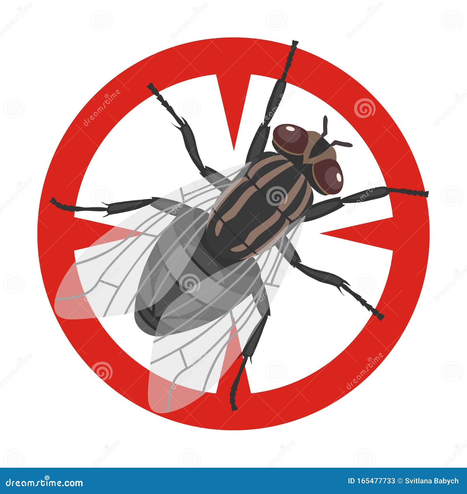 Insect Fly Vector Icon.Cartoon Vector Icon Isolated on White Background ...