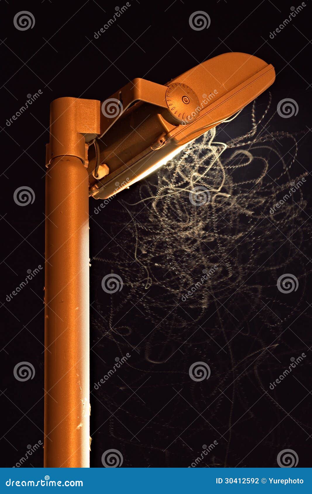 Insect flying in the light stock photo. Image of track - 30412592