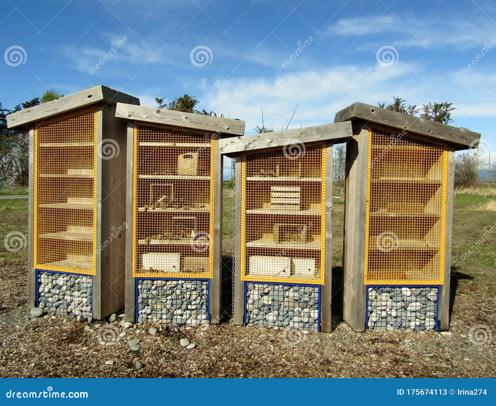 Insect Habitat stock image. Image of canes, field, house - 175674113