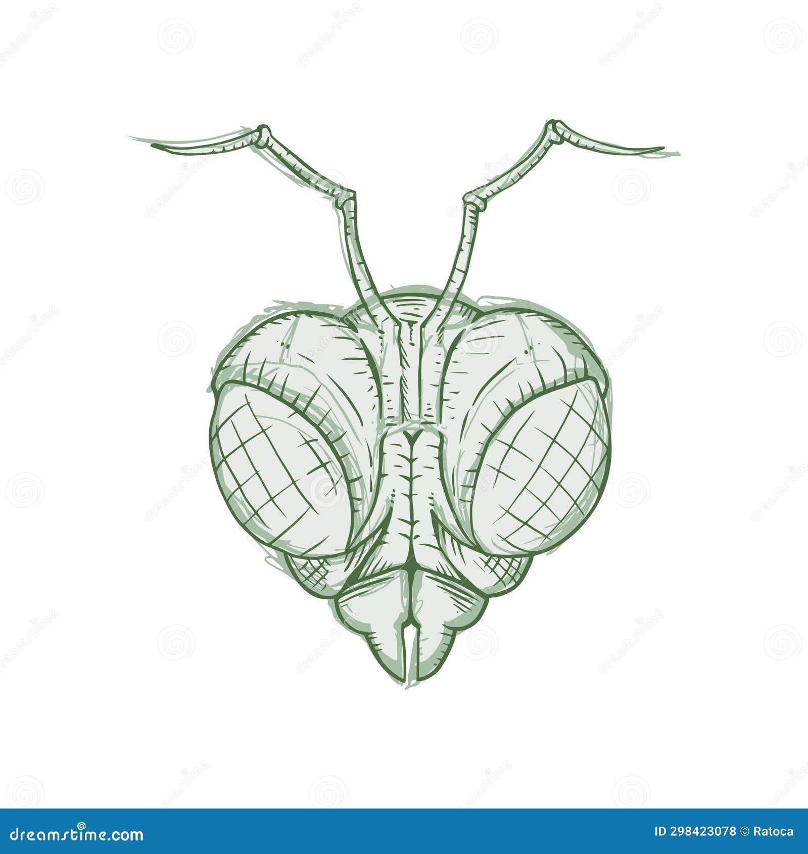 Insect head draw stock vector. Illustration of insect - 298423078