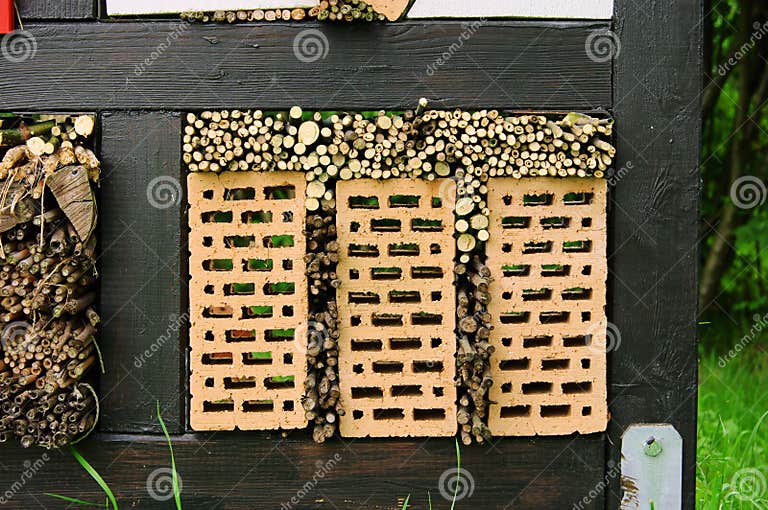 Insect hotel stock photo. Image of nest, environment - 15301672
