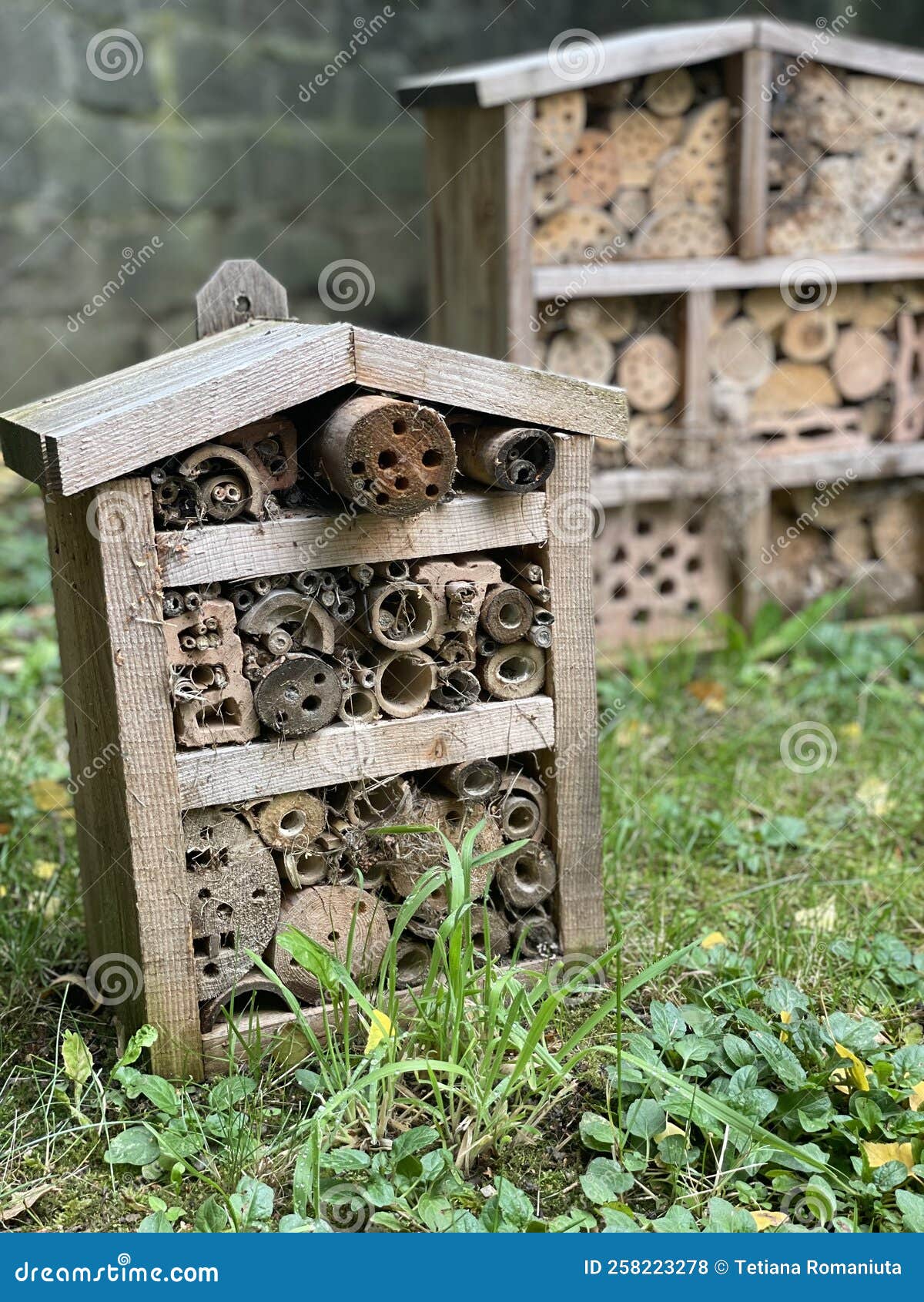 Insect Hotel, Bug Hotel, Insect House, Manmade Structure Created To ...