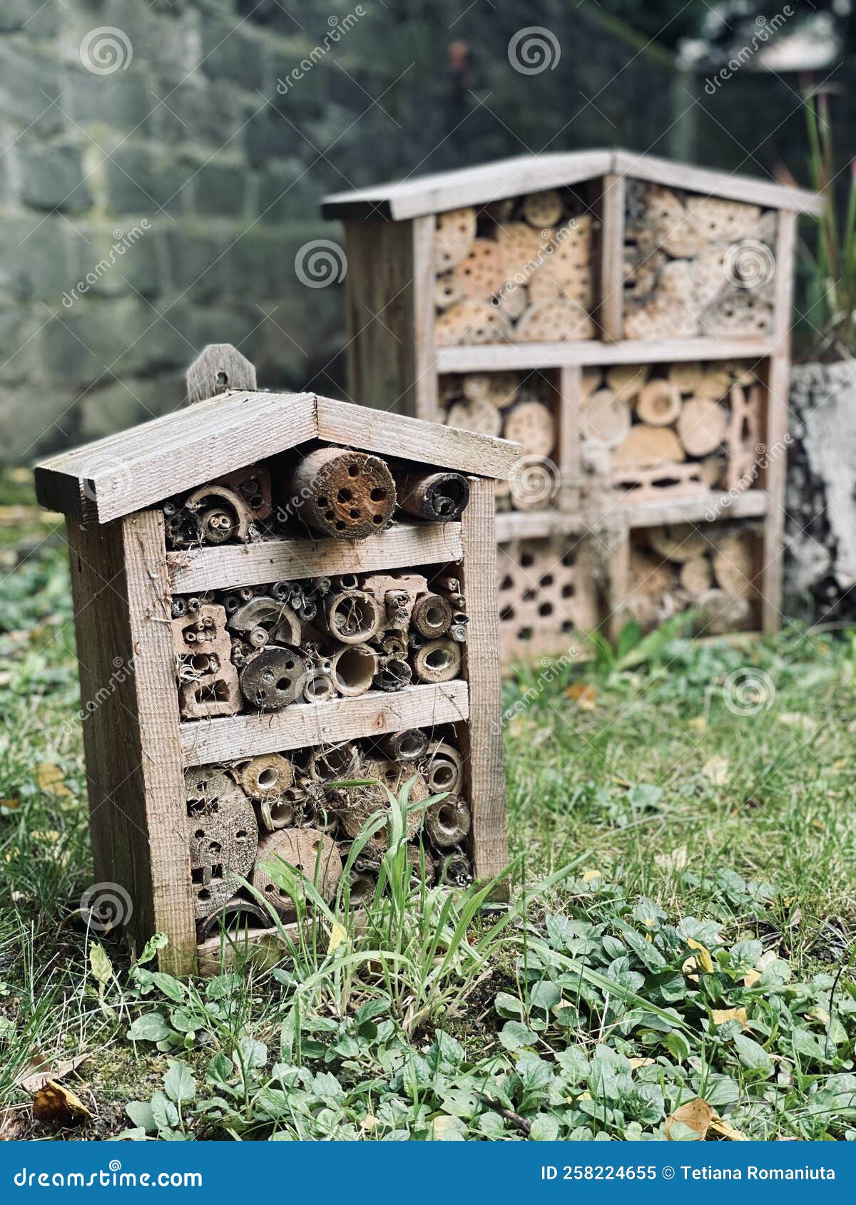 Insect Hotel, Bug Hotel, Insect House, Manmade Structure Created To ...