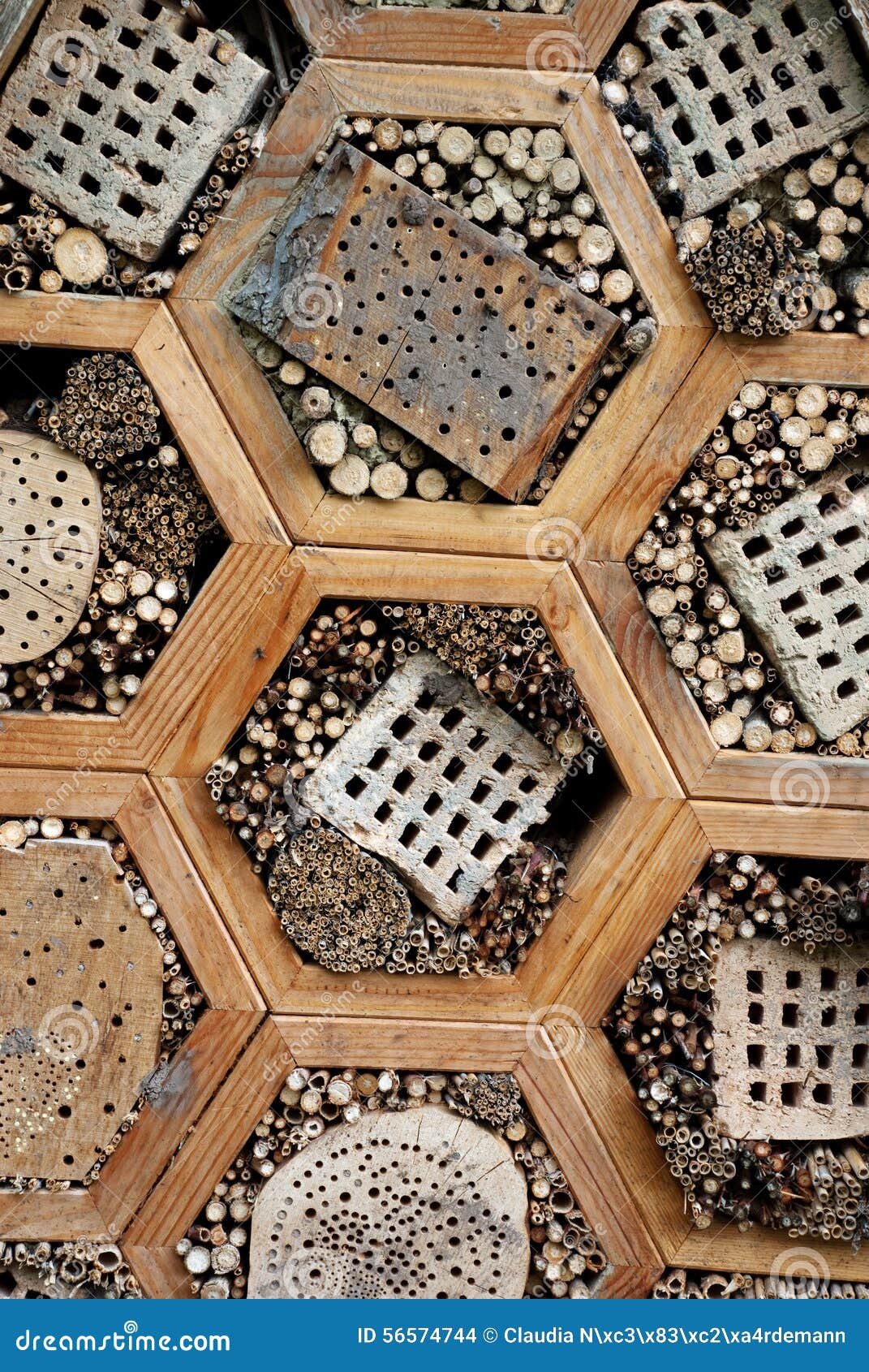 Insect hotel stock photo. Image of animals, space, habitat - 56574744