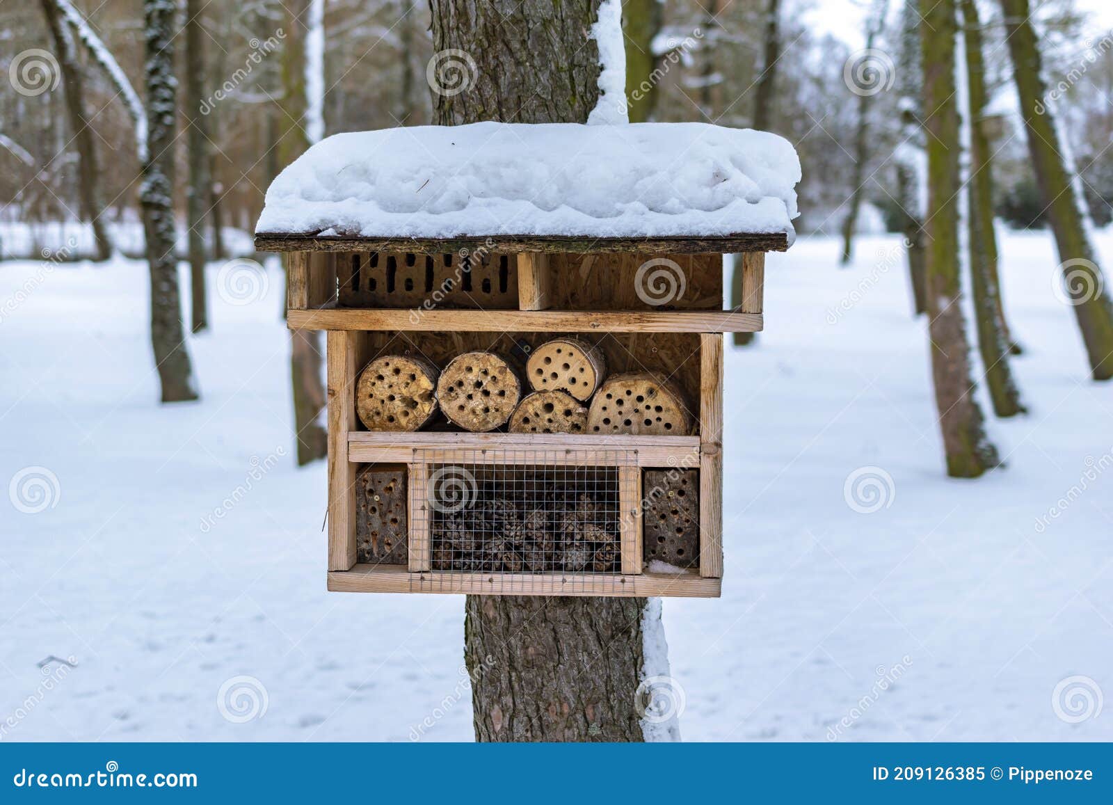 Insect Hotel or Insect House in Snowy Winter at Forest Stock Image ...
