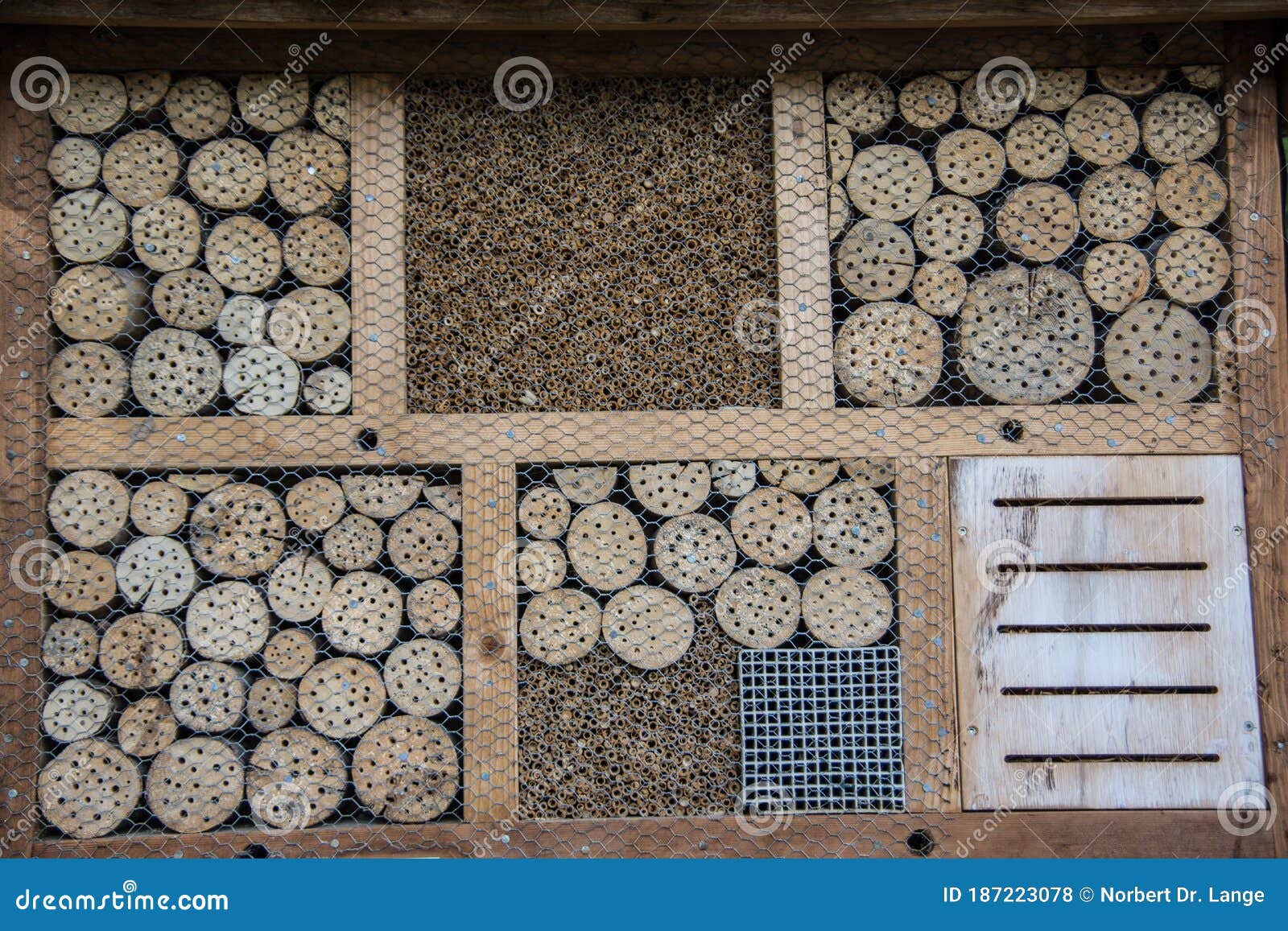Insect hotel made of wood stock photo. Image of offspring - 187223078