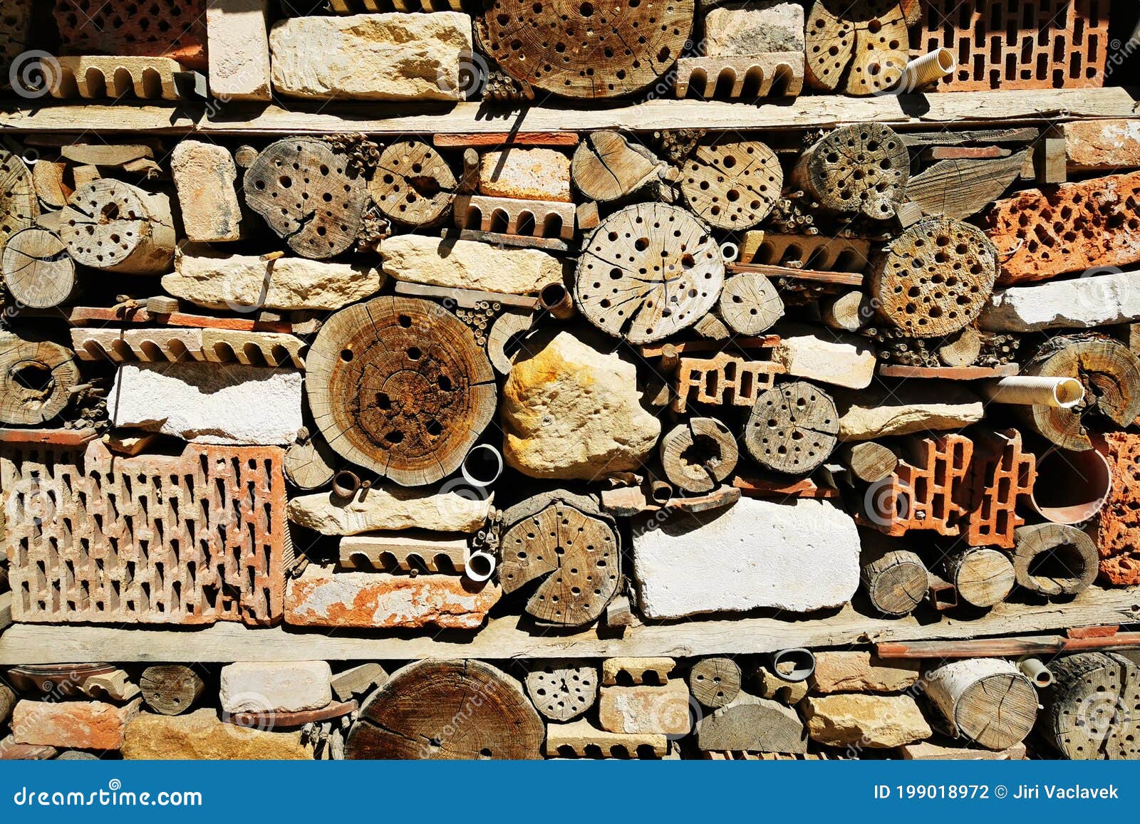 Insect hotel texture stock photo. Image of protection - 199018972