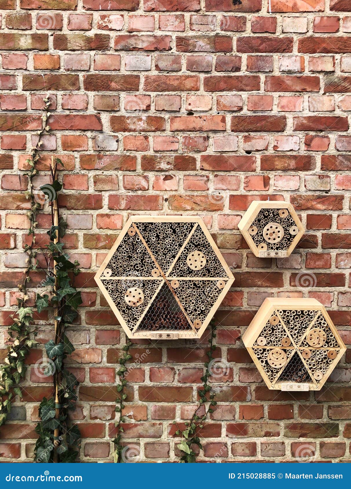 Insect hotel stock image. Image of nature, background - 215028885