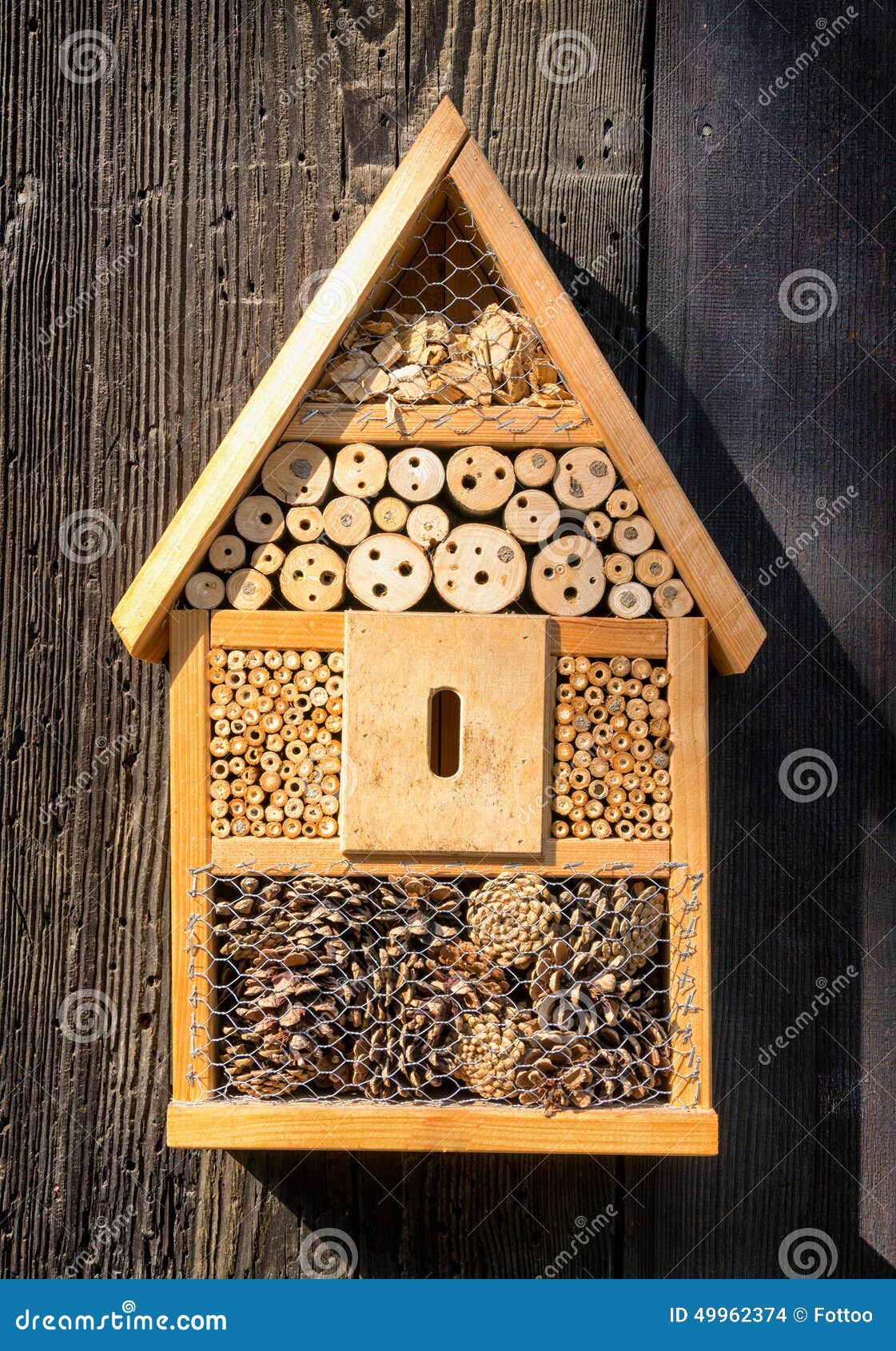 Insect house stock photo. Image of animal, protect, bamboo - 49962374