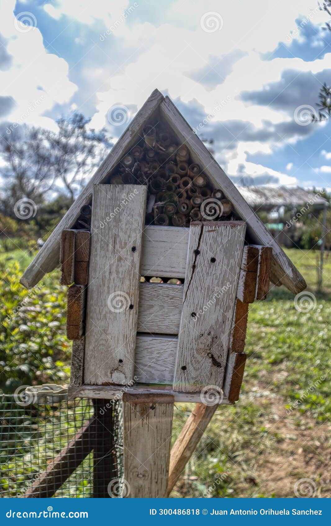 Insect House in an Organically Grown Orchard Stock Photo - Image of ...