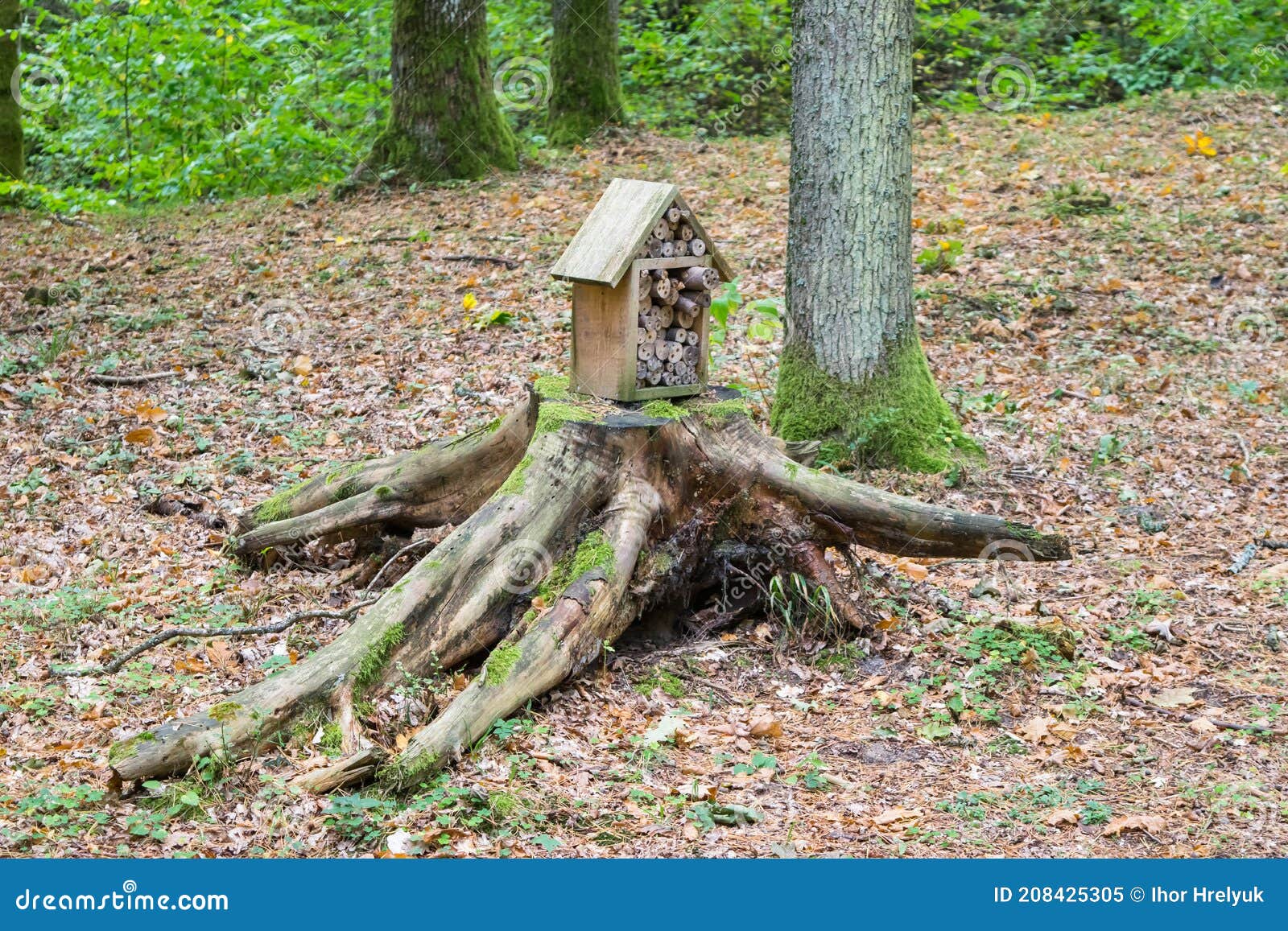 An Insect House Stands on a Tree Trunk in the Forest Stock Image ...