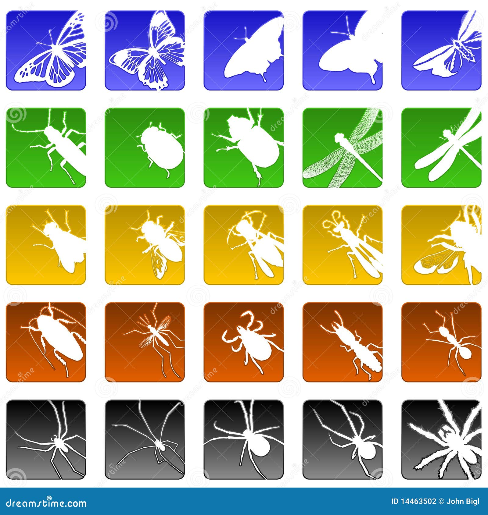 Insect icons stock vector. Illustration of mosquito, dragonfly - 14463502