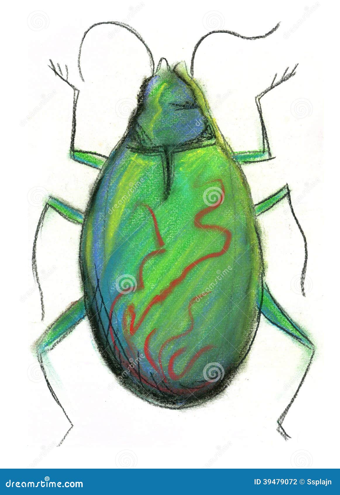 Insect illustration stock illustration. Illustration of dorsal - 39479072