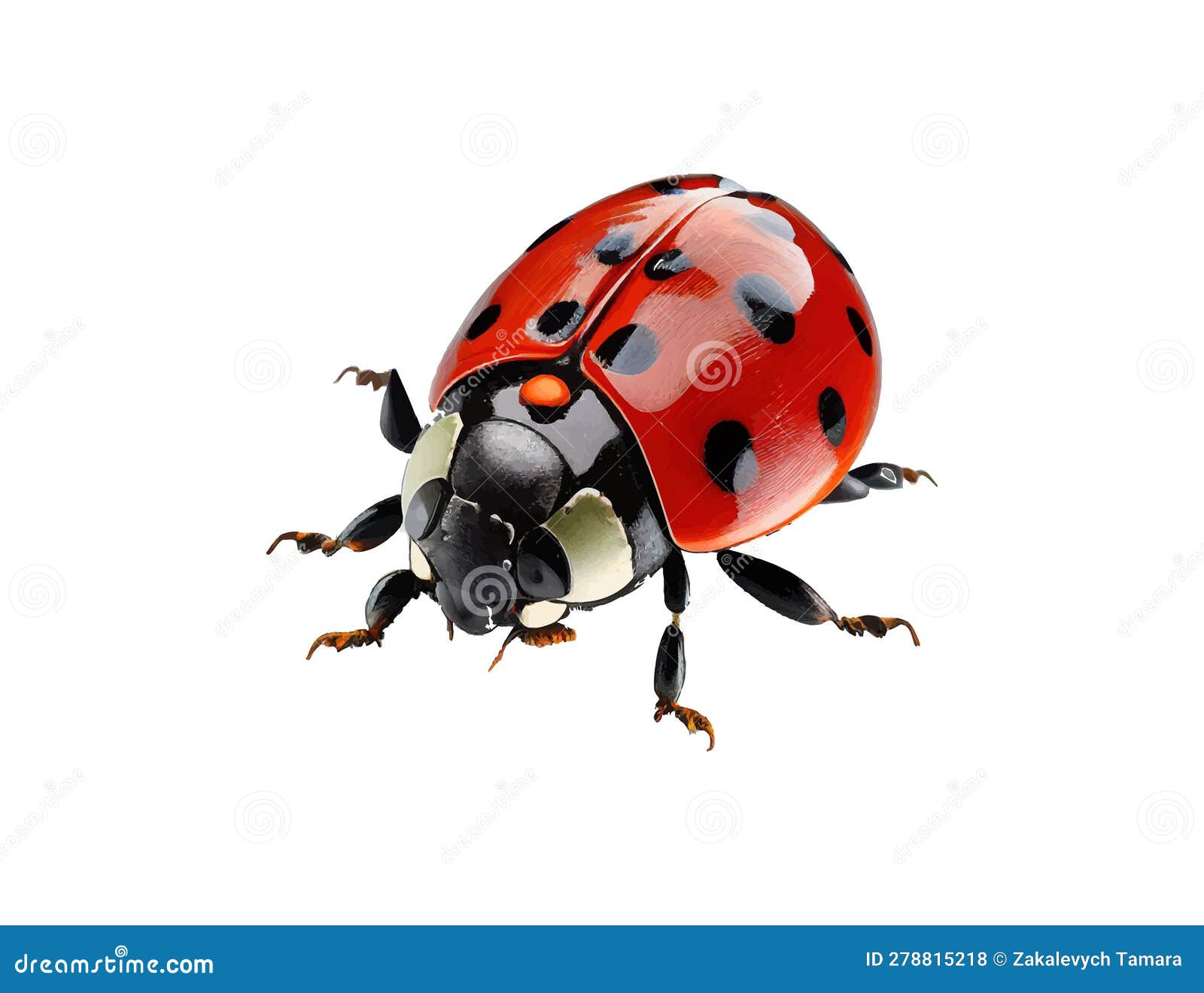 Insect Ladybird Cute Small Red Bugs. Vector Illustration Stock ...
