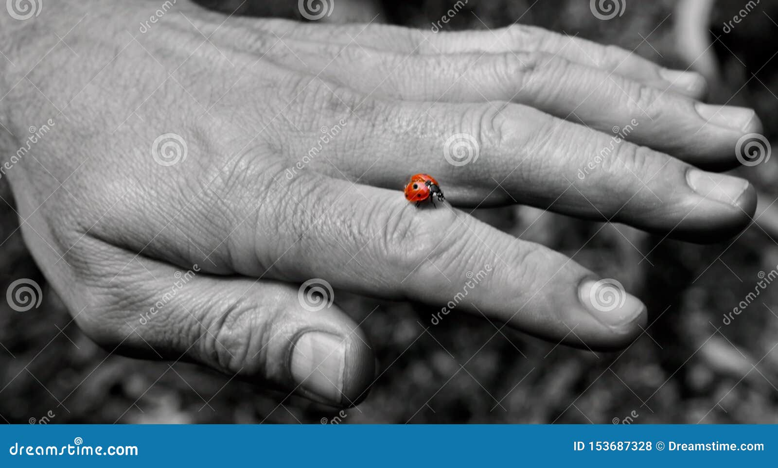 Royalty Free Images, Cartoons, Illustrations And Photos Designed By ...