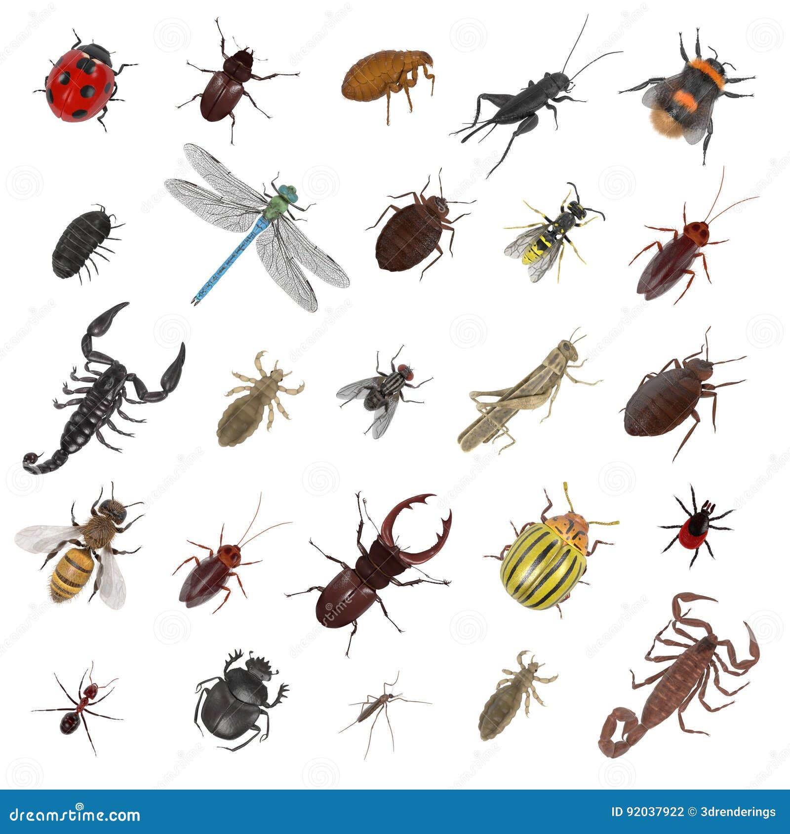 Insect - large collection stock illustration. Illustration of mosquito ...
