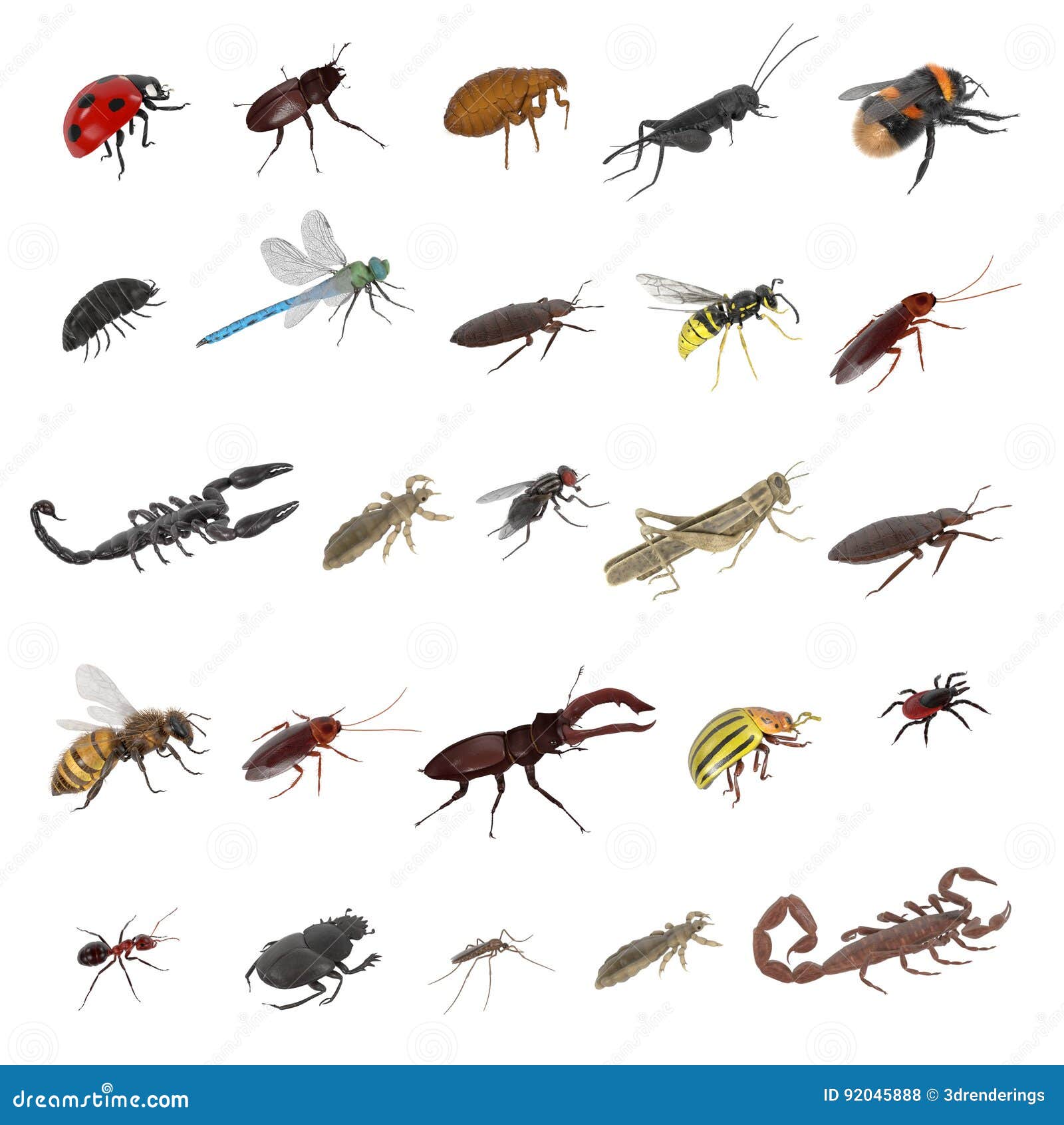 Insect - large collection stock illustration. Illustration of nature ...