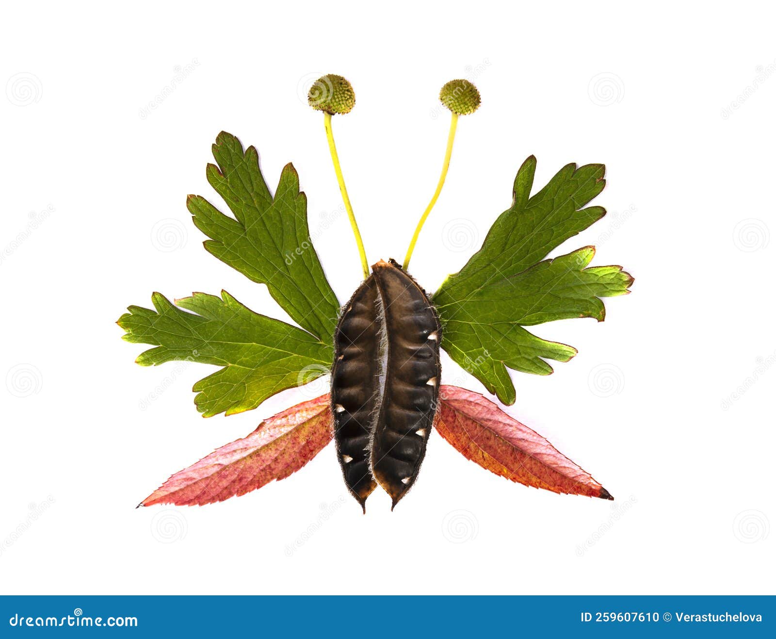 Insect from Leaves and Flowers- Activity for Kids Stock Photo - Image ...