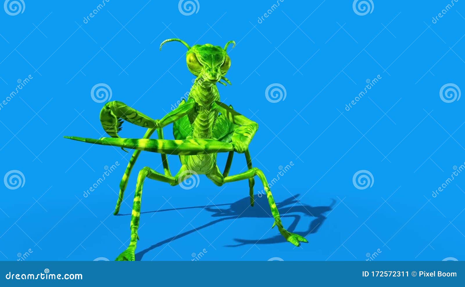 Insect Mantis Attacks Blue Screen Loop 3D Rendering Animation Stock ...