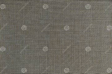 Insect mesh texture stock image. Image of insect, nice - 24854055