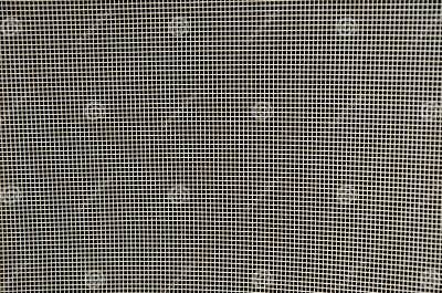 Insect mesh texture stock image. Image of insect, nice - 24854055