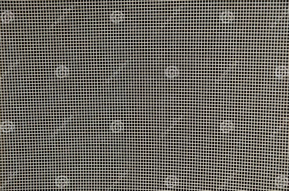 Insect mesh texture stock image. Image of insect, nice - 24854055