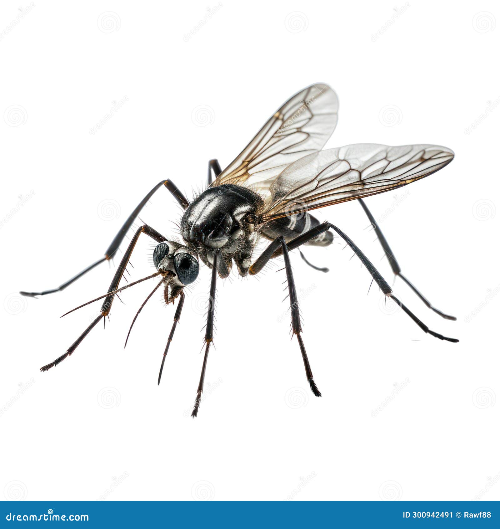 Insect Mosquito Bite. Malaria Symbol. Red Blood. Nature Gnat Character ...