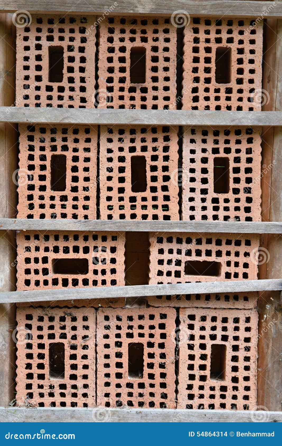 Insect nesting box stock photo. Image of brick, wild - 54864314