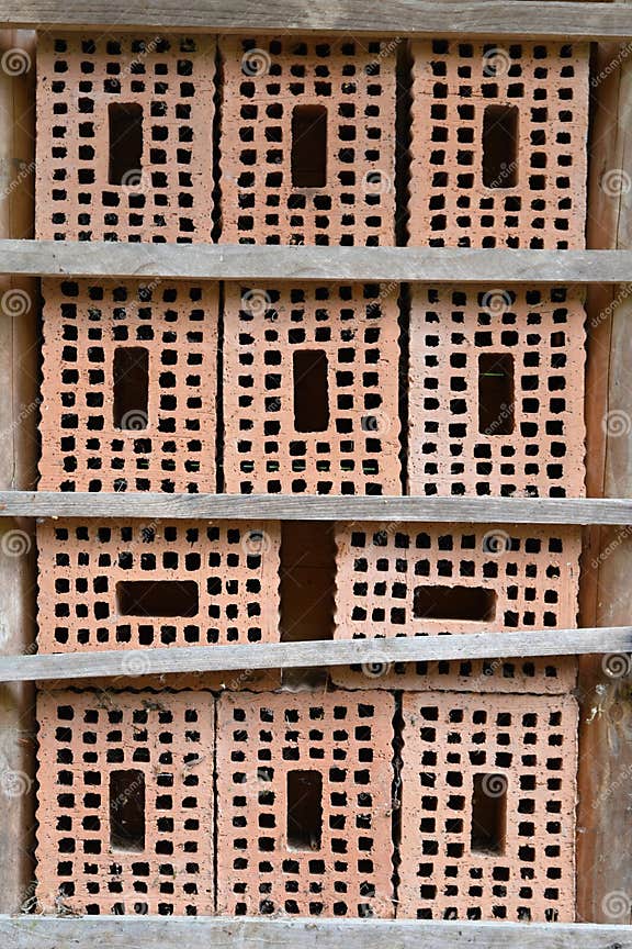 Insect nesting box stock photo. Image of brick, wild - 54864314