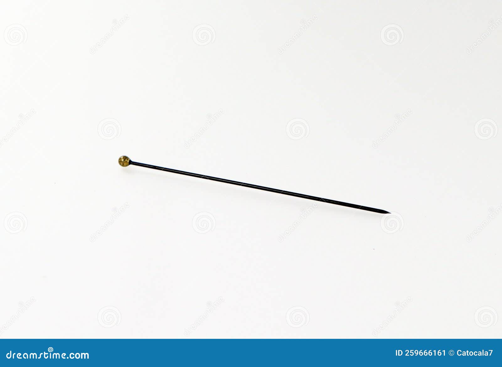 Insect Pin Isolated On White Special Needle For Pricking Insects For