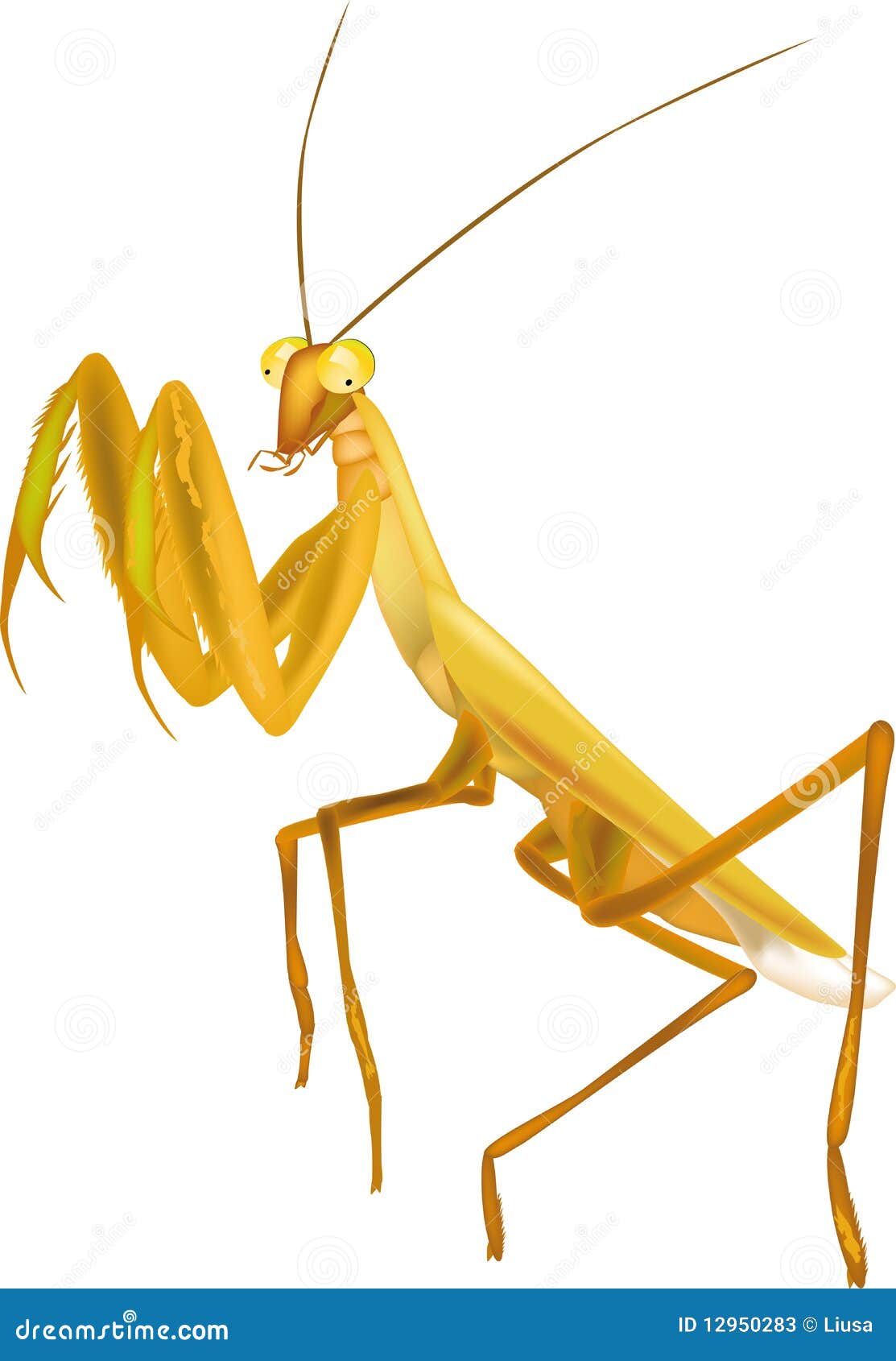 Praying Mantis Mascot Cartoon Vector | CartoonDealer.com #119467989