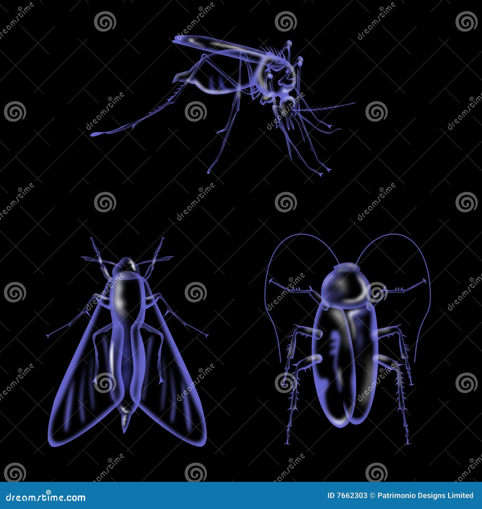 Insect x-ray collection stock illustration. Illustration of antenna ...