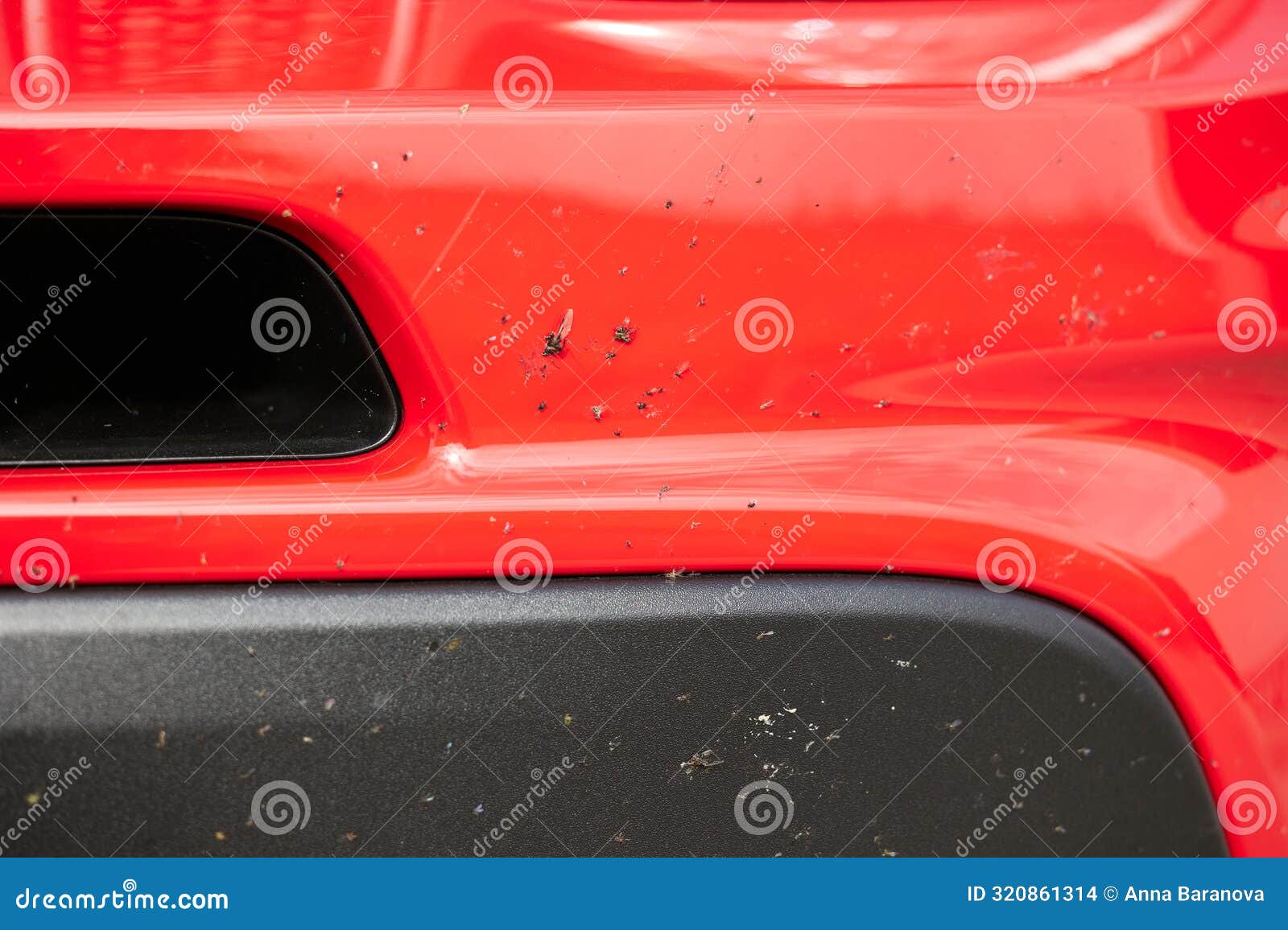 Insect Remains on the Red Car Bumper. Stock Photo - Image of deceased ...