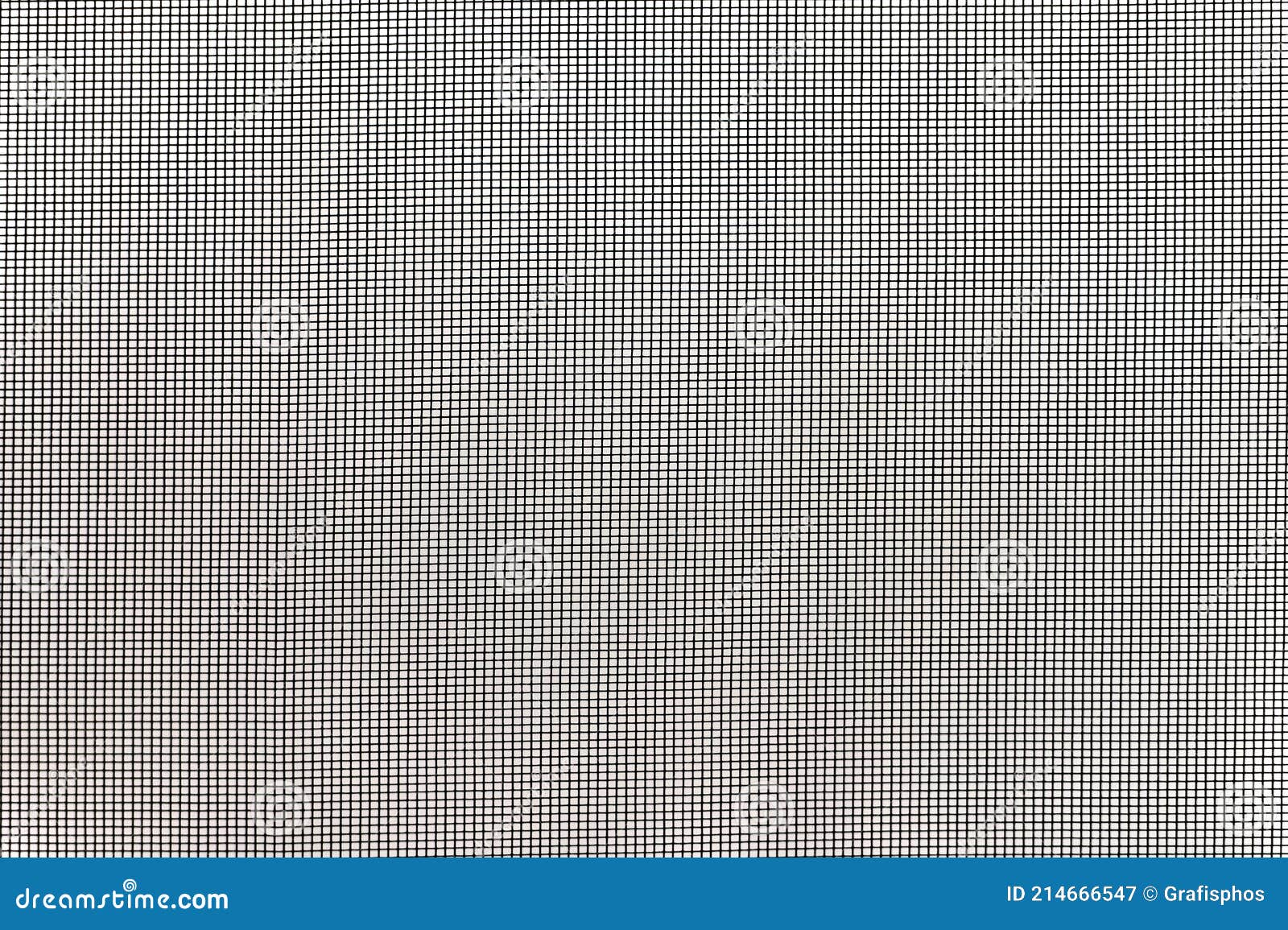 Window Gnat (Anisopodidae) Royalty-Free Stock Image | CartoonDealer.com ...