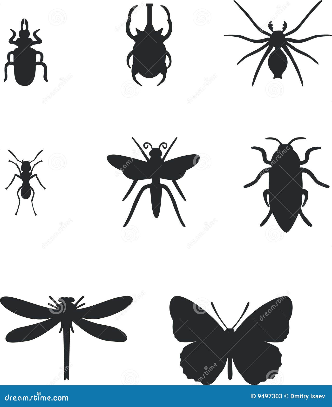 Green Mayfly Insect Vector Illustration Transparent Background ...