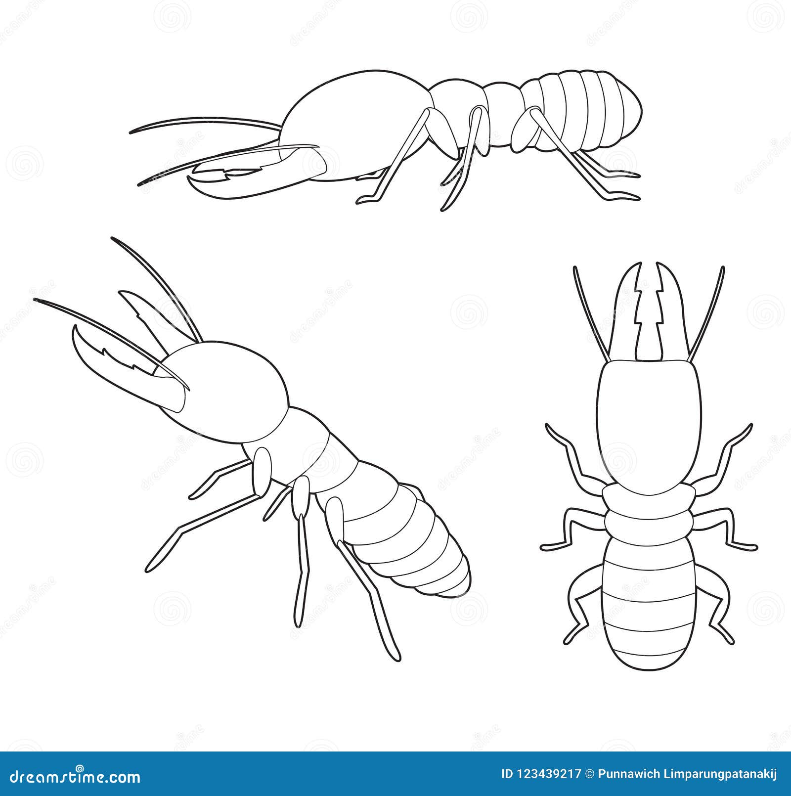 Insect Set Termite Cartoon Vector Coloring Book Stock Illustration ...
