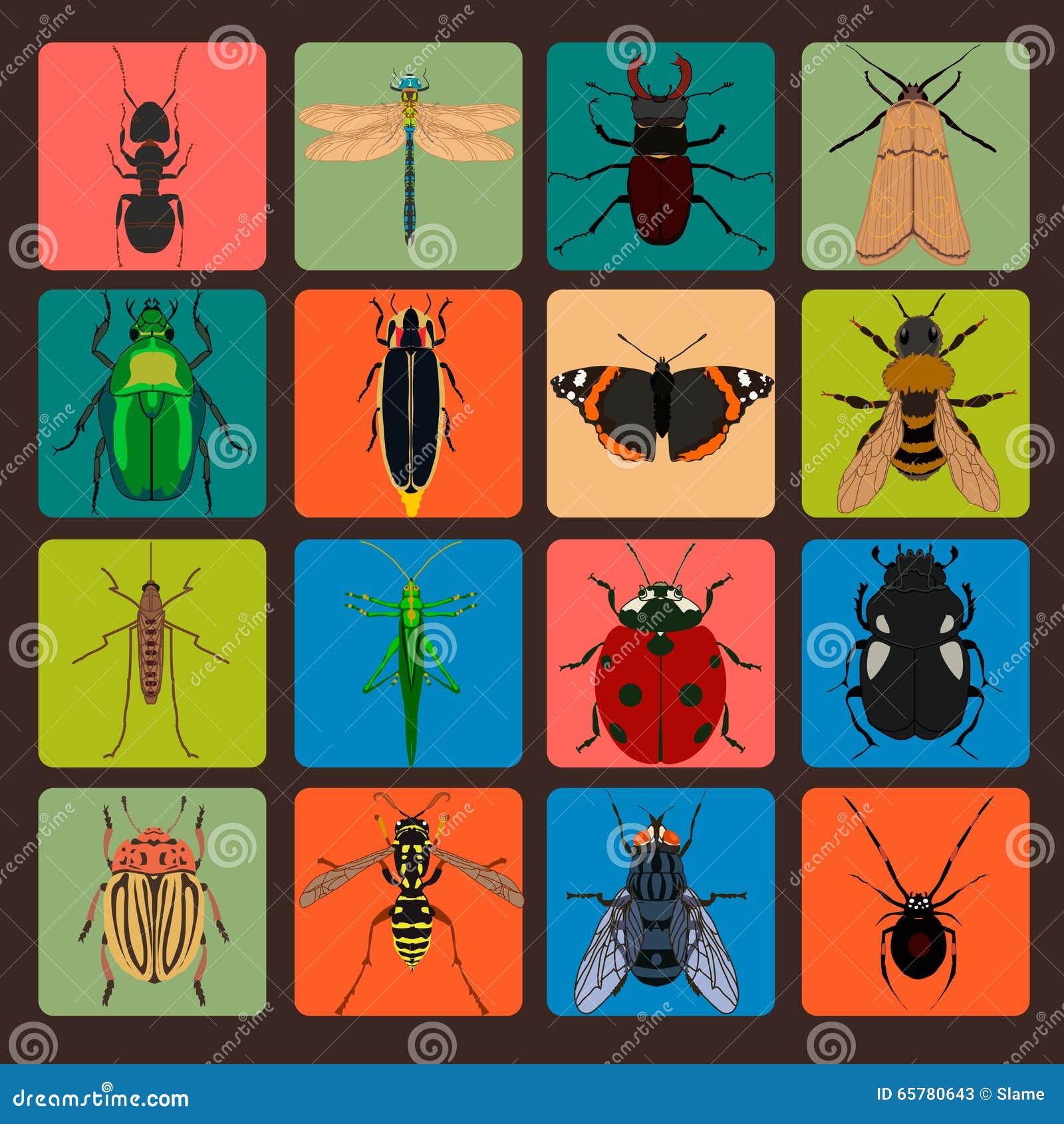 Insect Sign Set with Bug Grasshopper Spider Fly Ant Cockroach Bu Stock ...