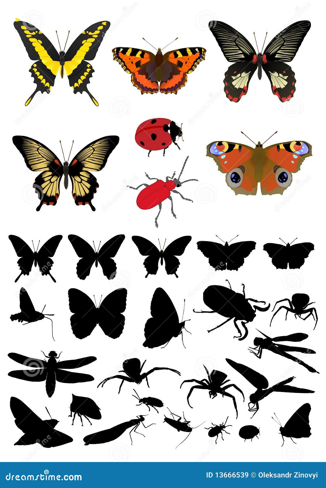 Insect Silhouette& Picture Set Stock Vector - Illustration of design ...