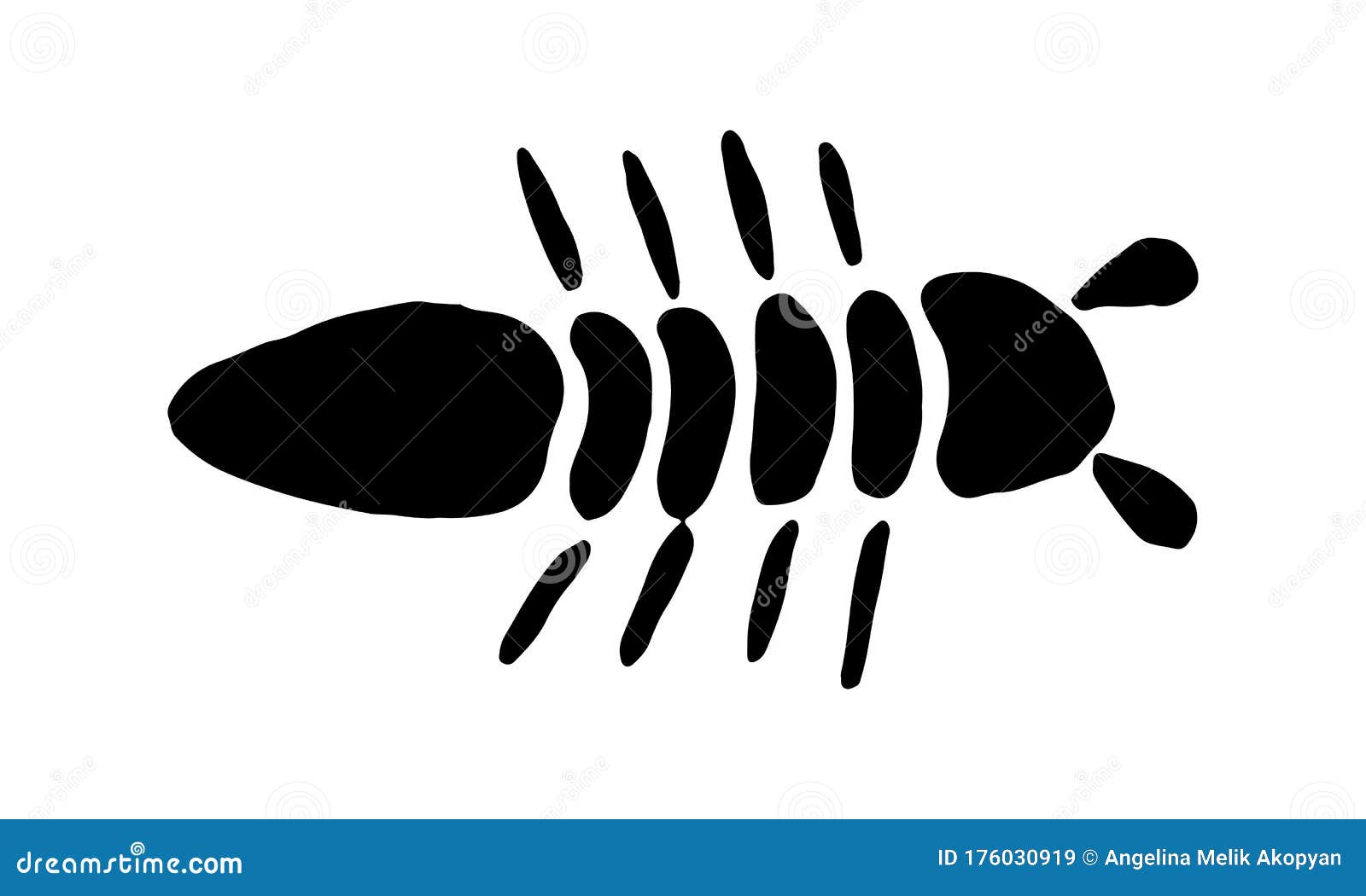 Insect Simple Icons Set - Vector Collection of Bugs Symbols in Thin ...