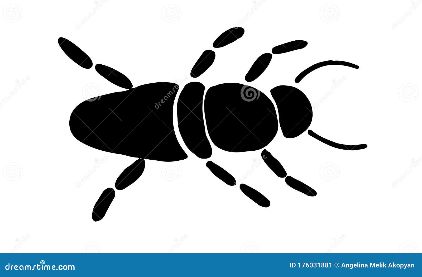 Insect Simple Icons Set - Vector Collection of Bugs Symbols in Thin ...