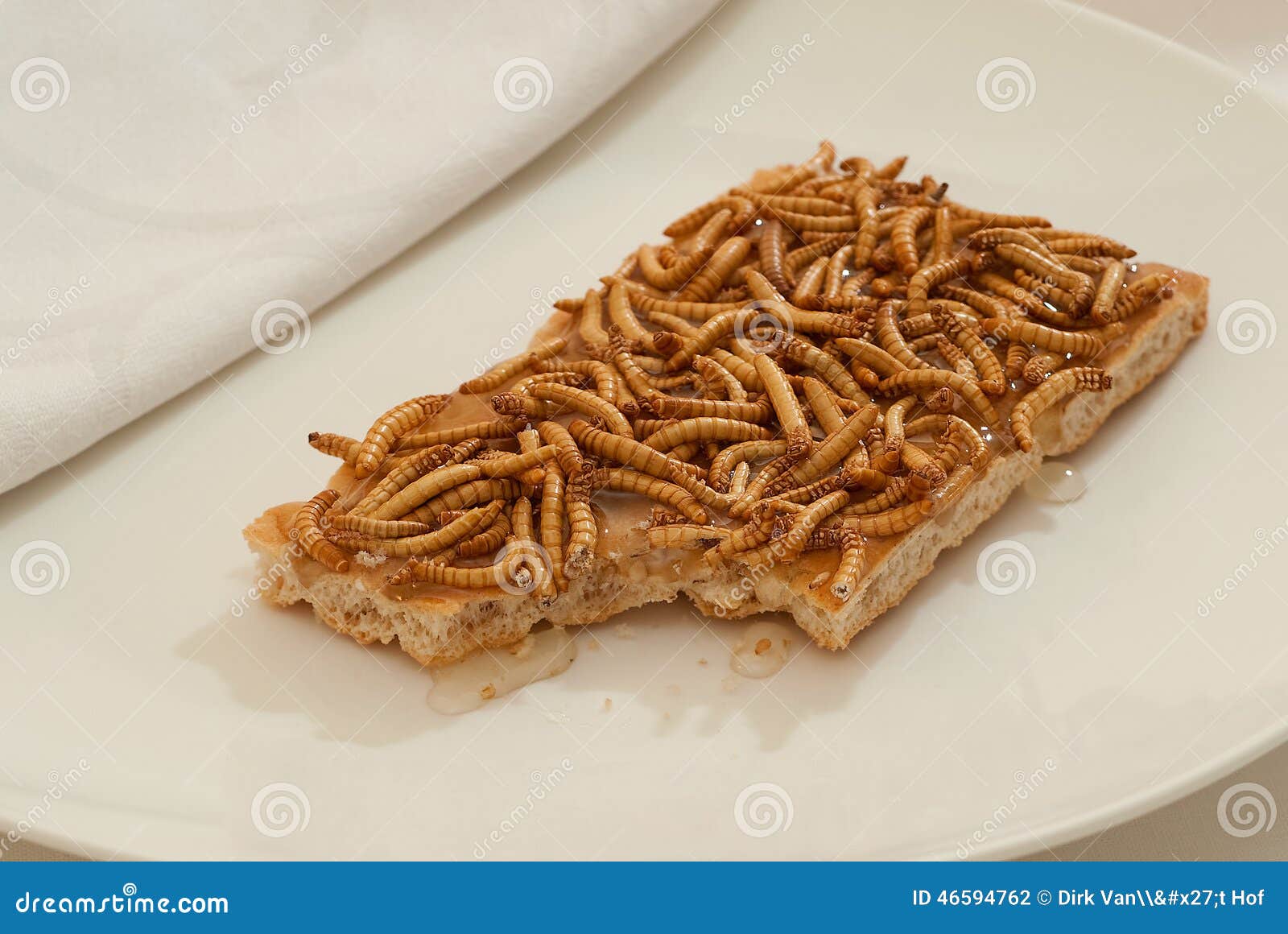 Insect Snack stock photo. Image of white, asia, freeze - 46594762