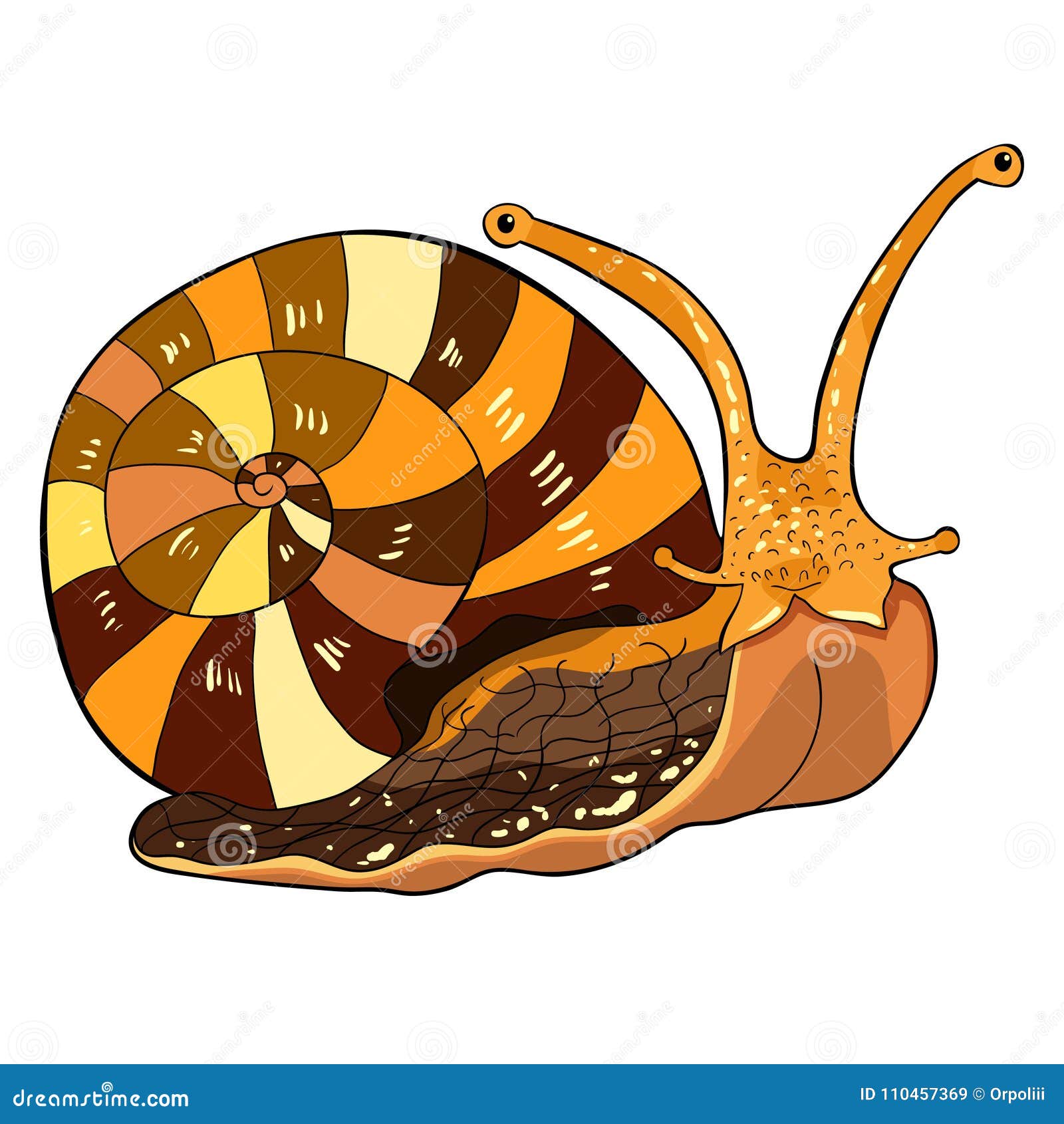 Snail Gastropod Creature Vector Illustration On A White Background ...