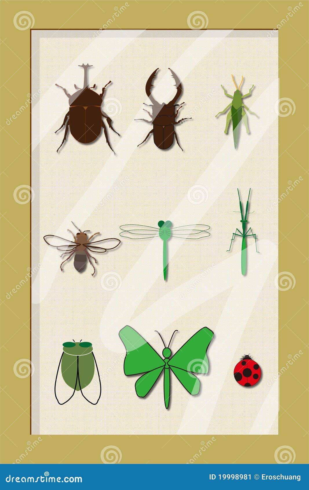 Insect specimens Frame stock illustration. Illustration of glass - 19998981