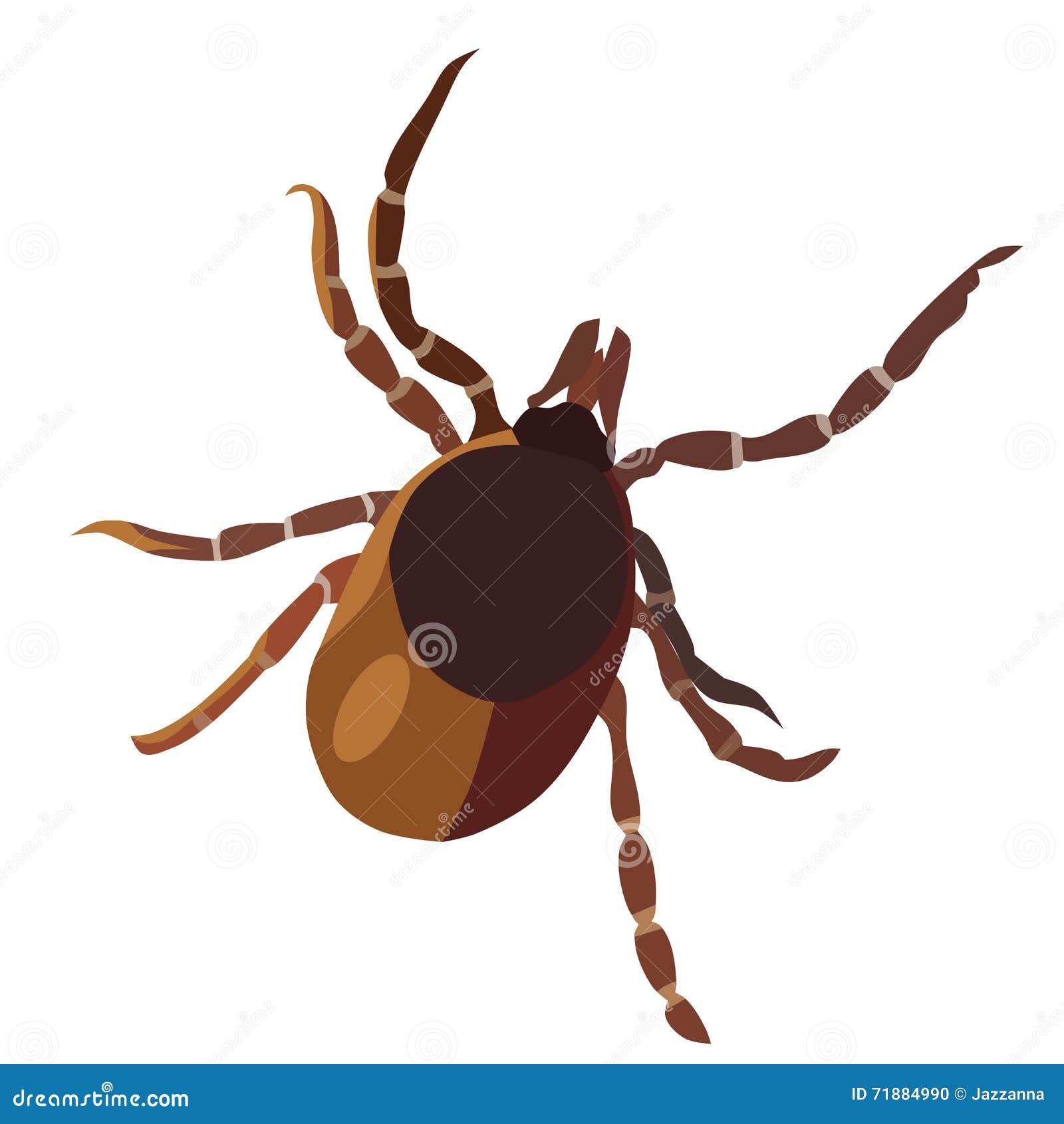 Insect Tick Animal Isolated Coloring Page For Kids Vector Illustration ...