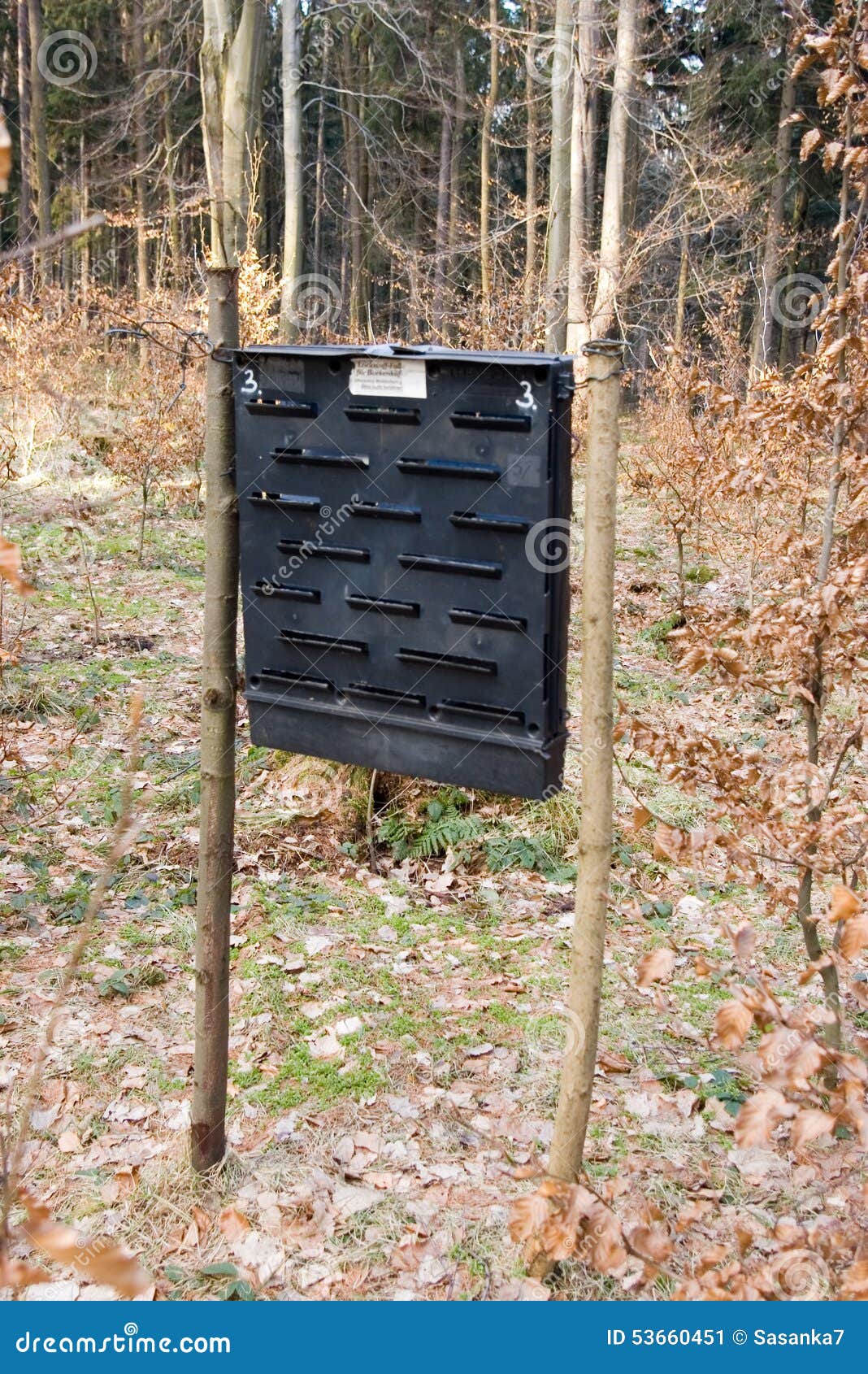 Insect trap stock image. Image of device, kill, control - 53660451