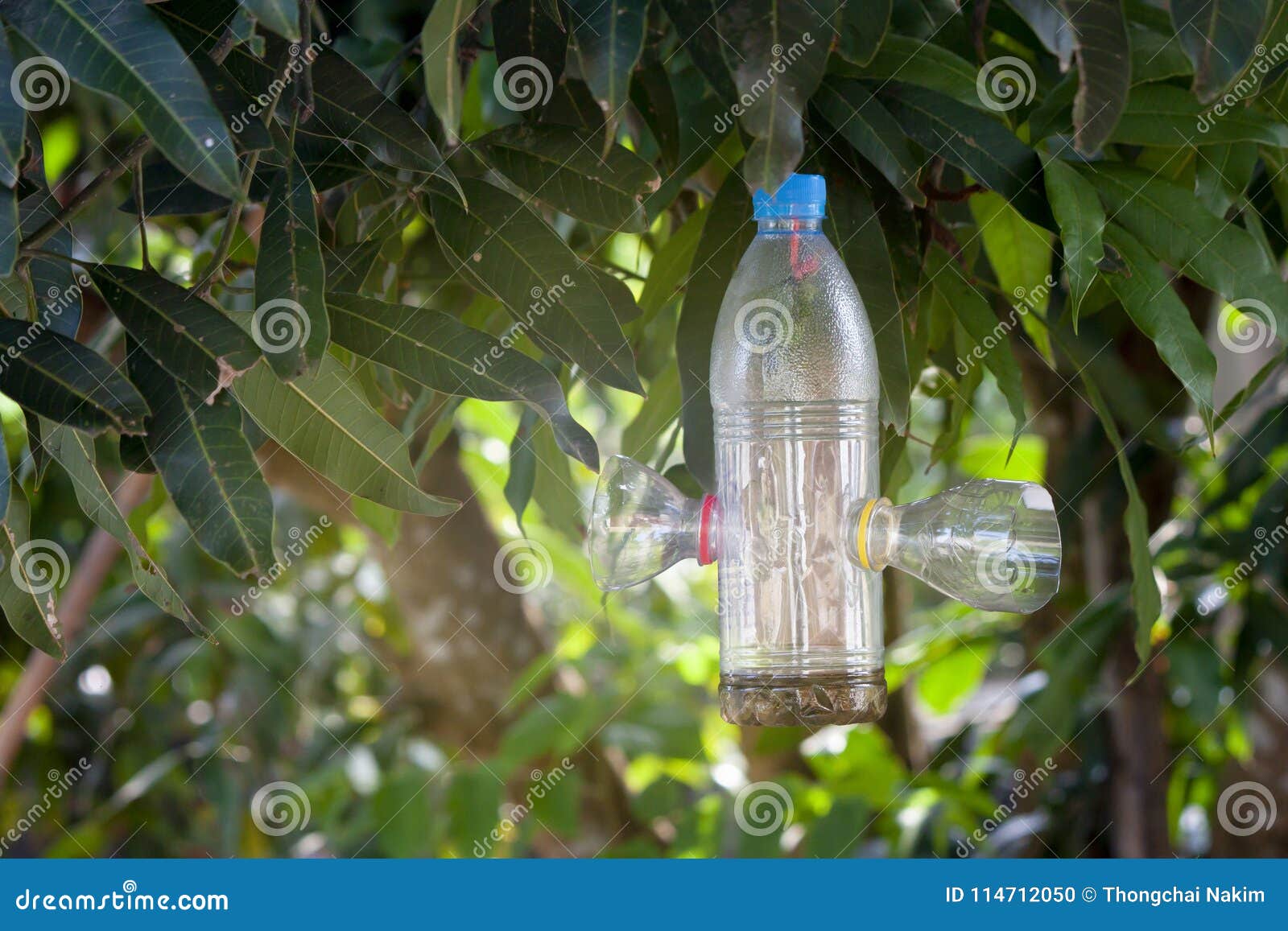 Insect Trap In The City Forest At Frankfurt International Airport ...